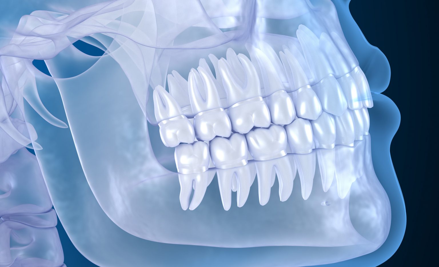 CT SCAN - Hollywood Smile Medical Center